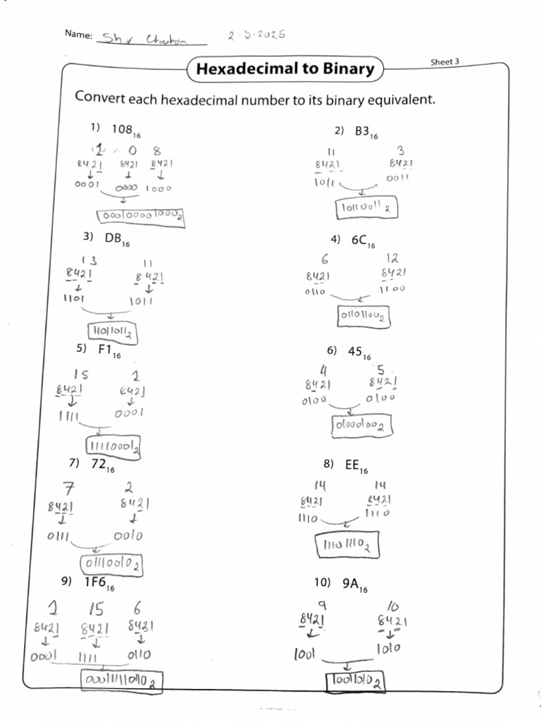 Shiv Chauhan - Hexadecimal To Binary Conversion | PDF