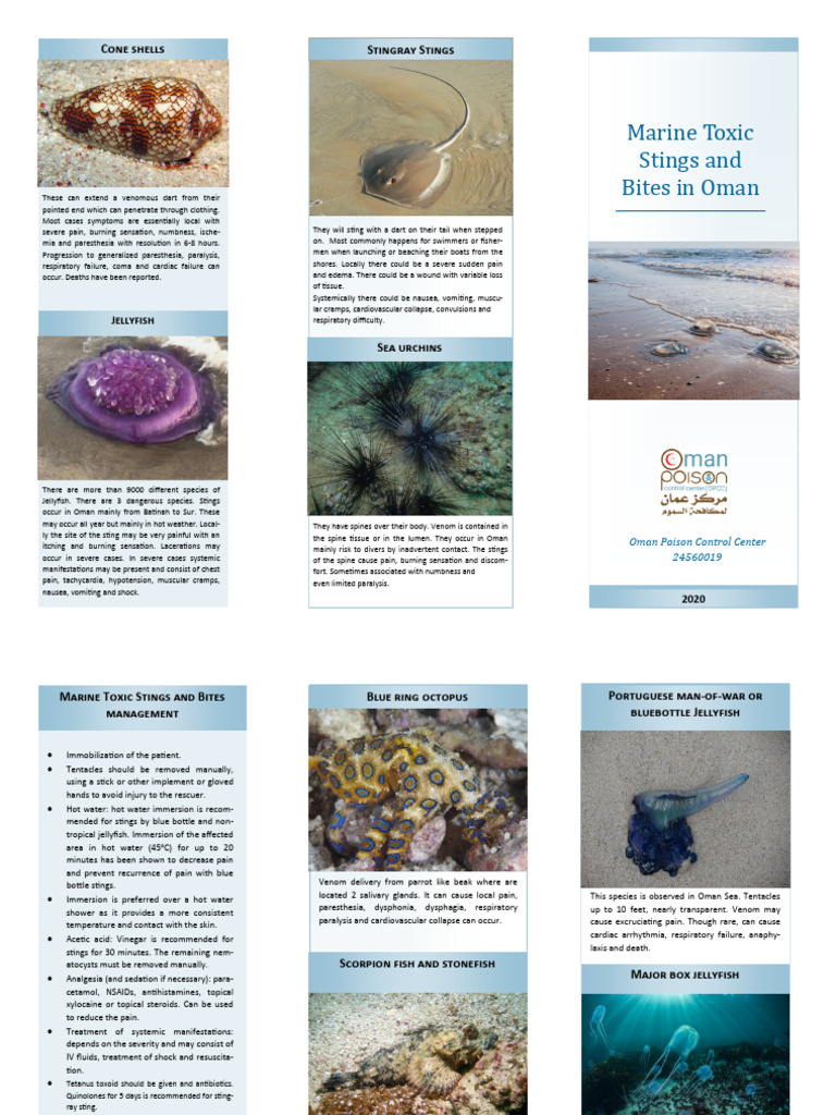 Marine Envenomation in Oman | PDF | Venom | Shock (Circulatory)