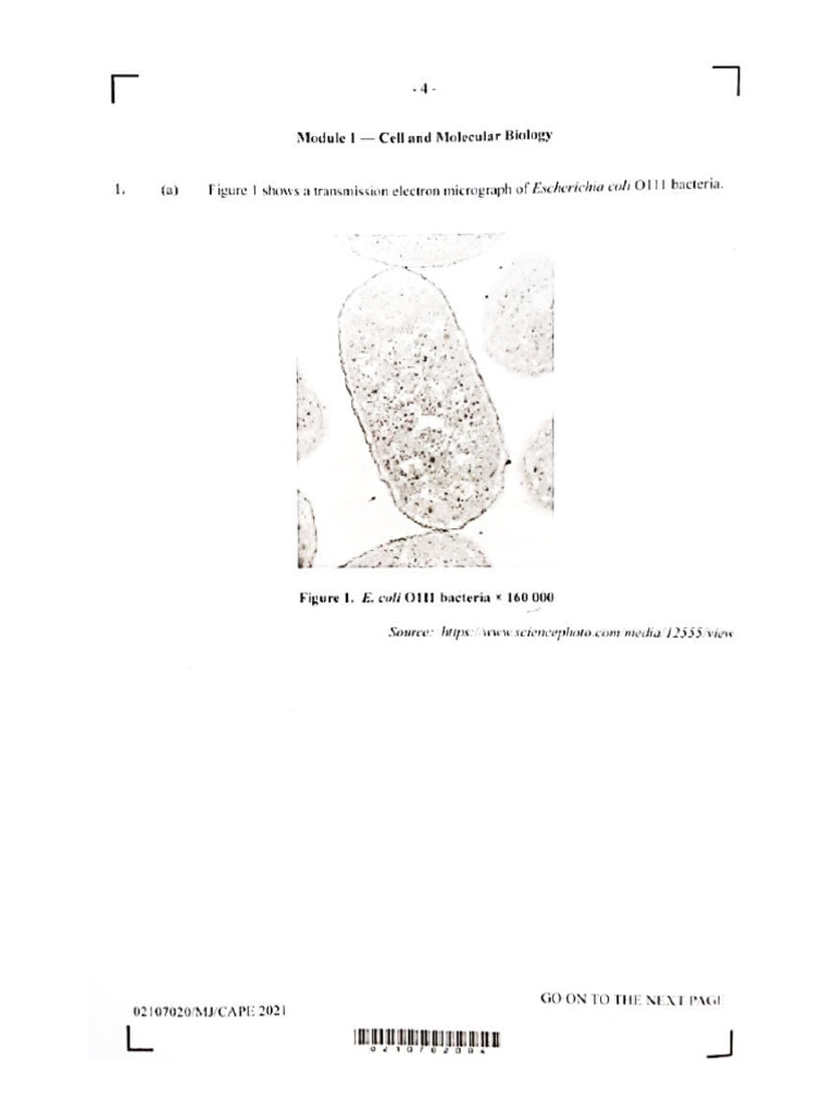 soln | PDF | Translation (Biology) | Chemical Polarity