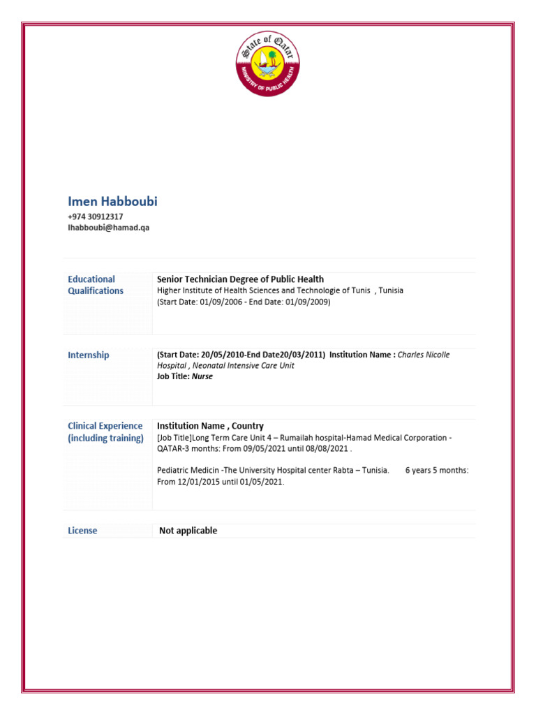 DHP CV Template. | PDF