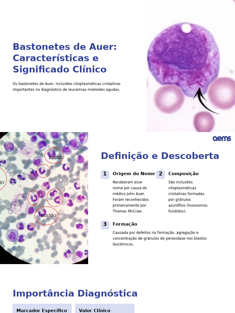Bastonetes-de-Auer-Caracteristicas-e-Significado-Clinico | PDF ...
