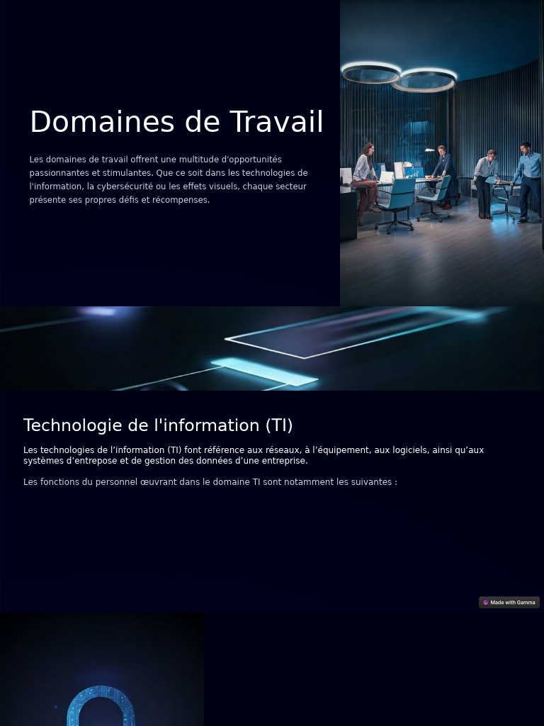 Opportunités dans les domaines TI | PDF | Logiciel | Application