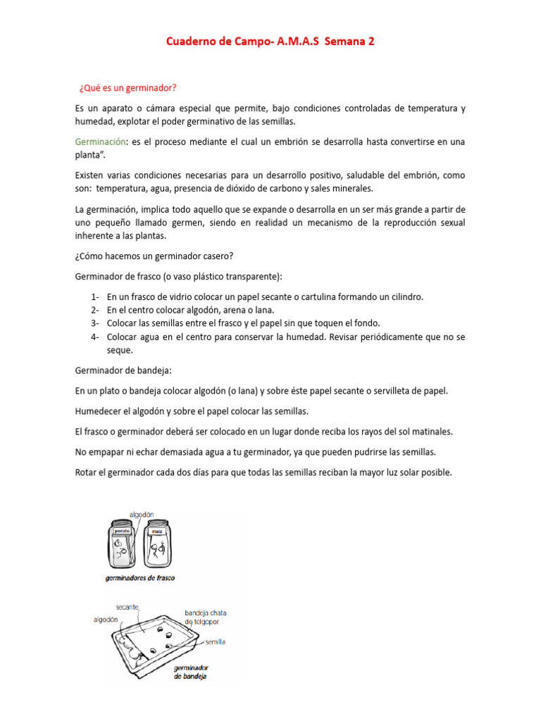 Qu - Es Un Germinador | PDF
