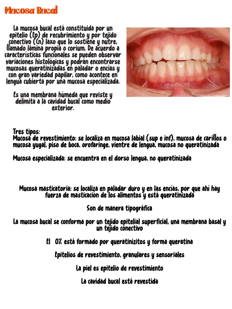 ACT.1 Mucosa Bucal y Lesiones Elementales - Jafet Sánchez | PDF ...