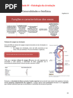 Mapas Mentais Sobre Sistema Cardiovascular - Study Maps | PDF | Sistema ...