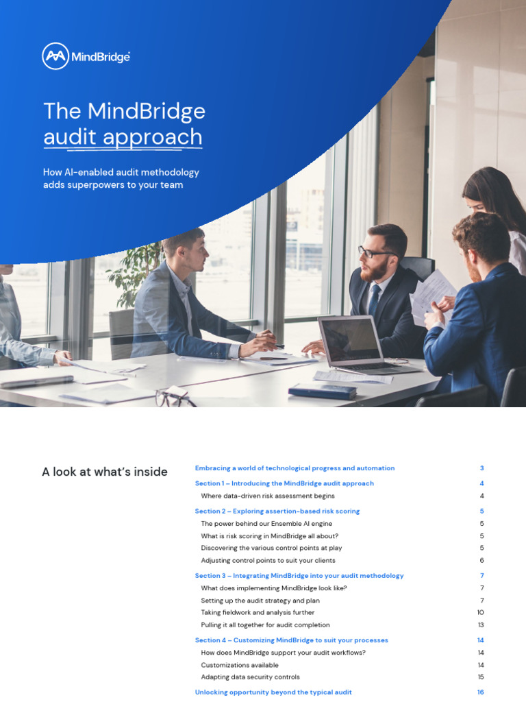 MindBridgeAnalytics AI Audit Methodology Whitepaper | PDF | Audit | Analytics