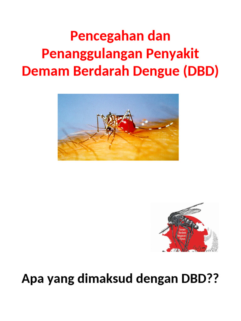 Penyuluhan - DBD - PPT FIX | PDF