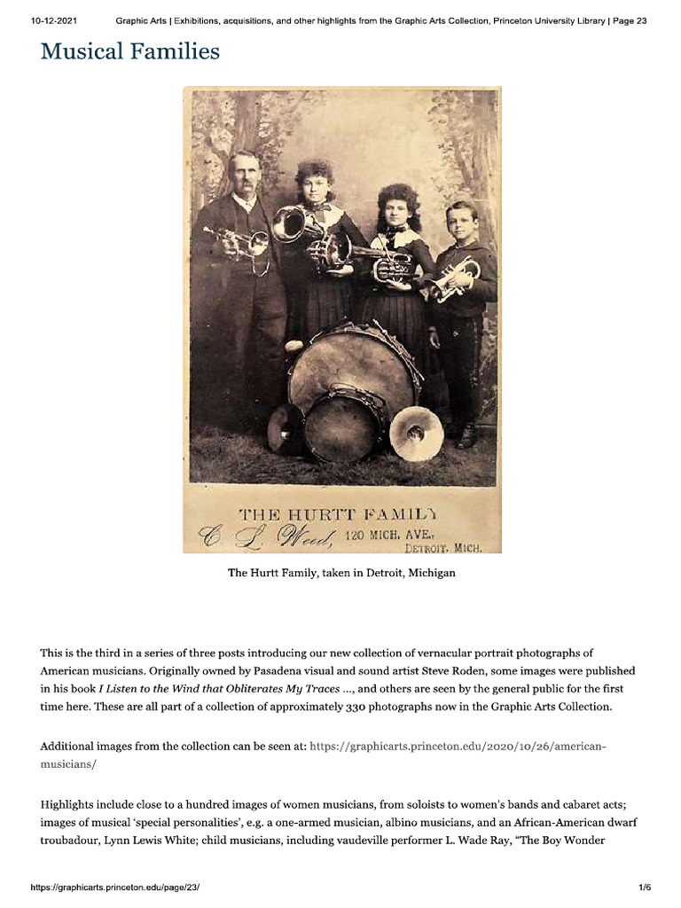 Musical Families | PDF