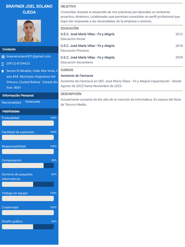 Perfil Profesional de Brayner Solano | PDF