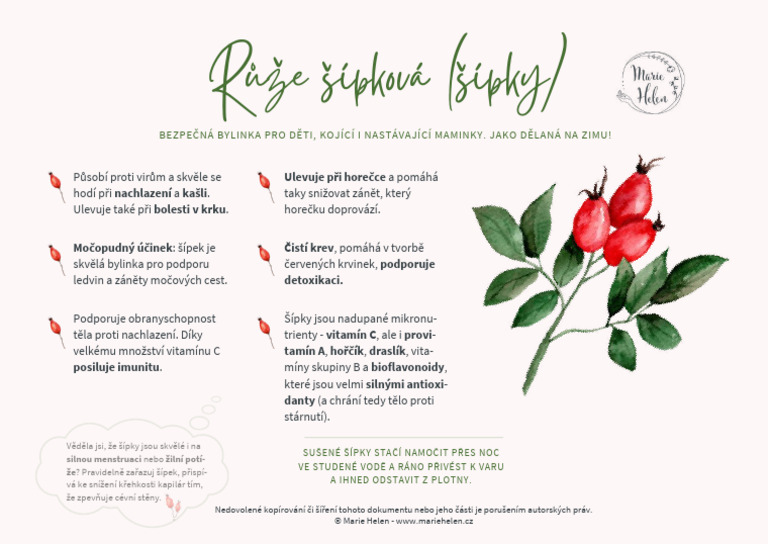 Marie Helen Ruze Sipkova A Sipky | PDF