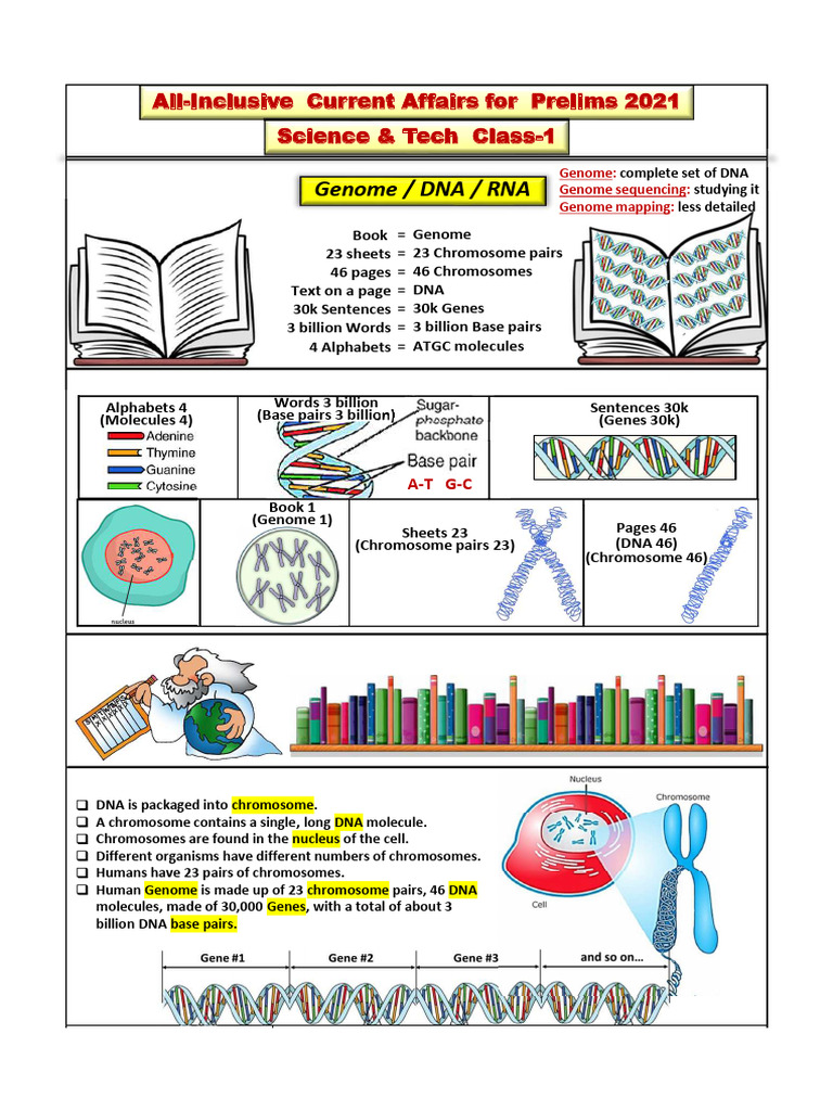 Scienc ALL Inc | PDF | Reverse Transcriptase | Virus