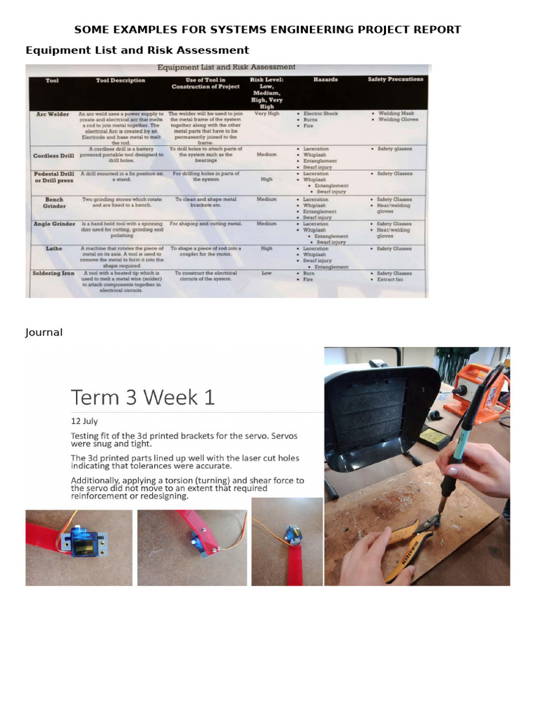 Some Examples For Project Report | PDF