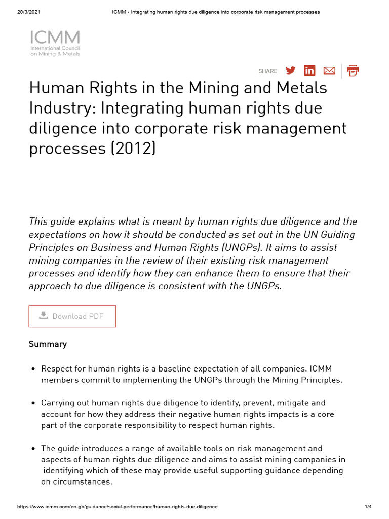 ICMM - Integrating Human Rights Due Diligence Into Corporate Risk Management Processes | PDF ...