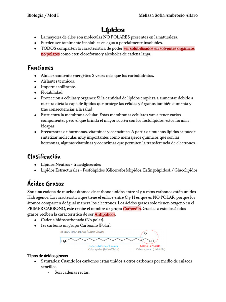 Funciones y Tipos de Lípidos en Biología | PDF | Lípido | Ácido graso