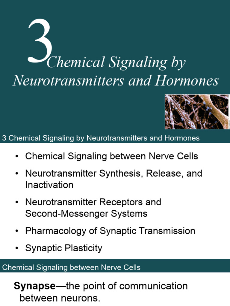 PSYCH 302 Chapter 3 - Chemical Signaling by Neurotransmitters and ...