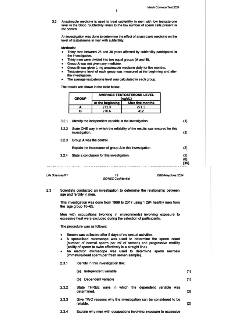 Investigation Questions T1 | PDF
