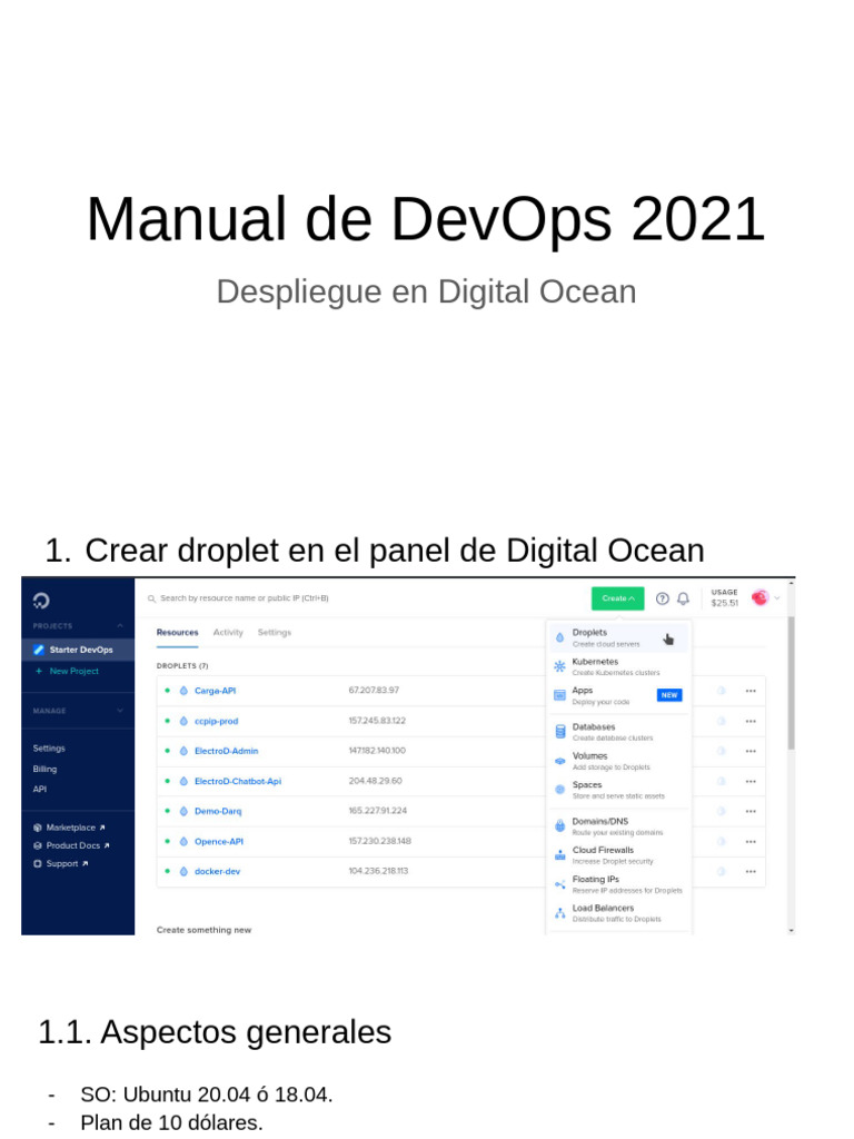 Manual de DEVOPS | PDF | Ciencias de la Computación | Internet