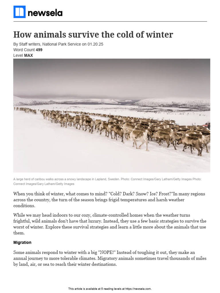 Wildlife Winter Survival Strategies 2001049877 Article and Quiz ...