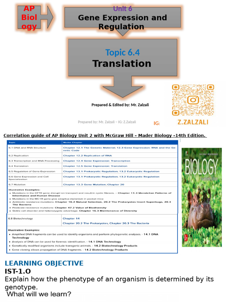 AP Bio Unit 6.4 Translation-Handouts | PDF | Translation (Biology) | Ribosome