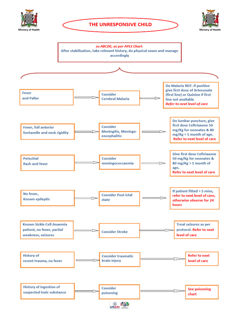 Paeds Protocol Flow Charts | PDF | Shock (Circulatory) | Intravenous Therapy