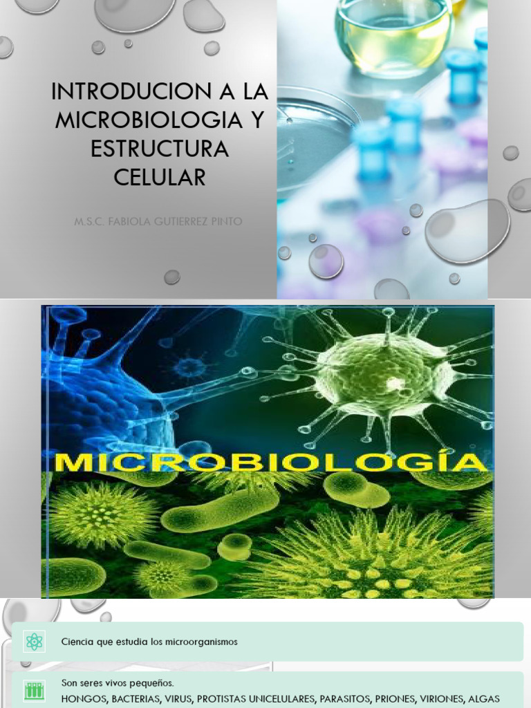 Introduccion de Microbiologia TEMA 1 | PDF | Microbiología | Microorganismo