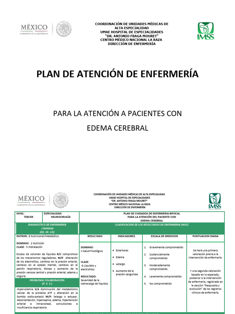 Plan de Cuidados para Edema Cerebral | PDF | Sistema respiratorio ...