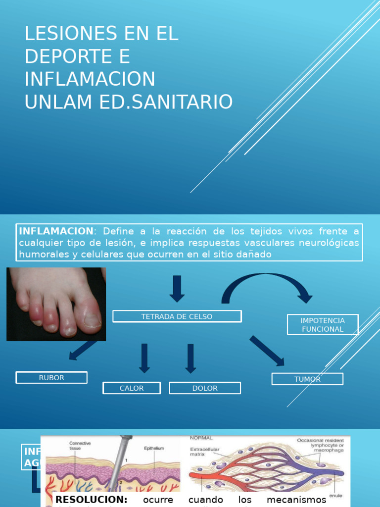 Lesiones en El Deporte e Inflamacion | PDF | Inflamación | Tendón