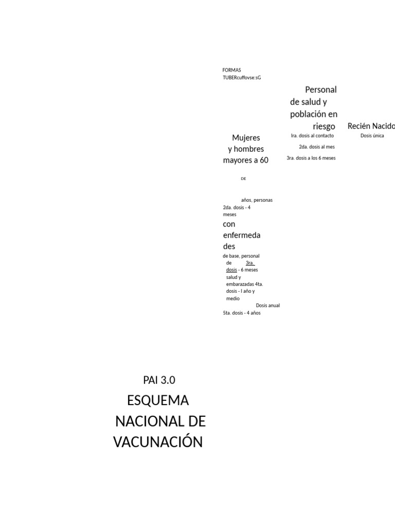 Esquema de Vacunación PAI 3.0 | PDF