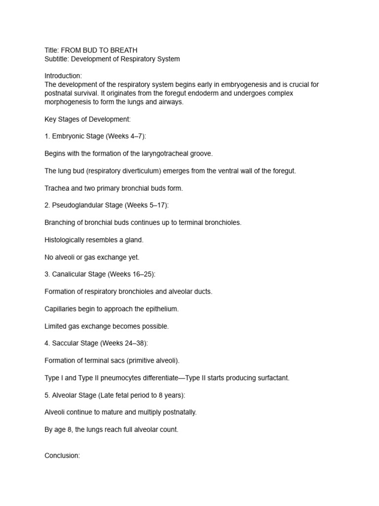 Respiratory System Development Stages | PDF