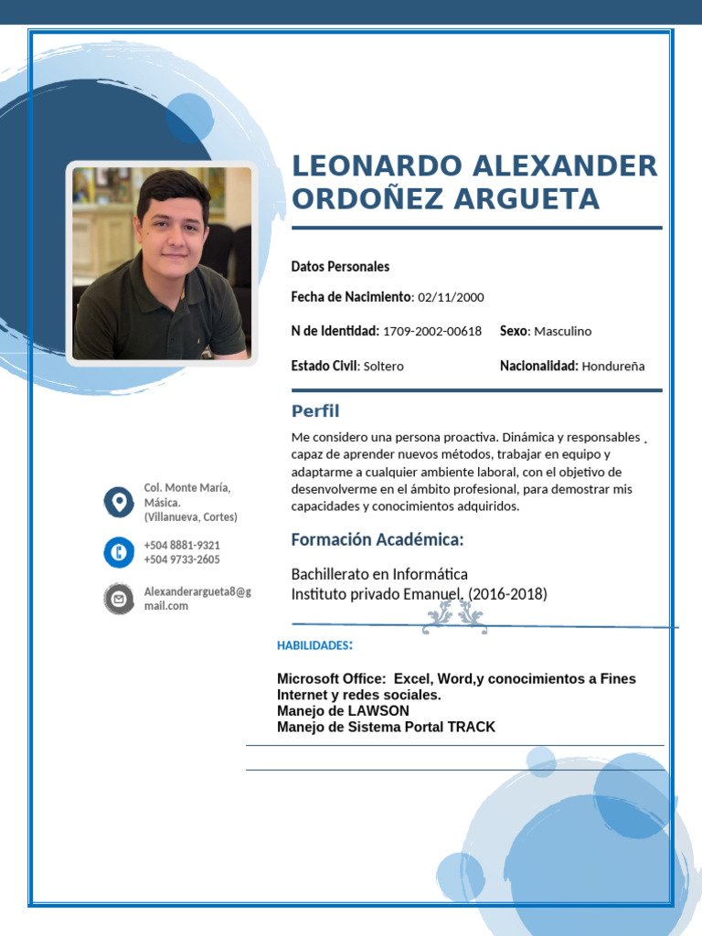 Curriculum Leo | PDF | Informática | Software