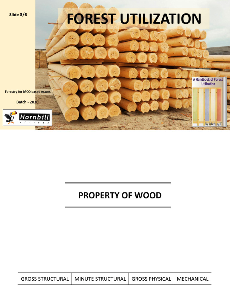 Forest Utilization Overview for Exams | PDF