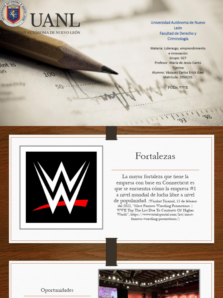 Vceg Lei1 A2 250412 210433 | PDF