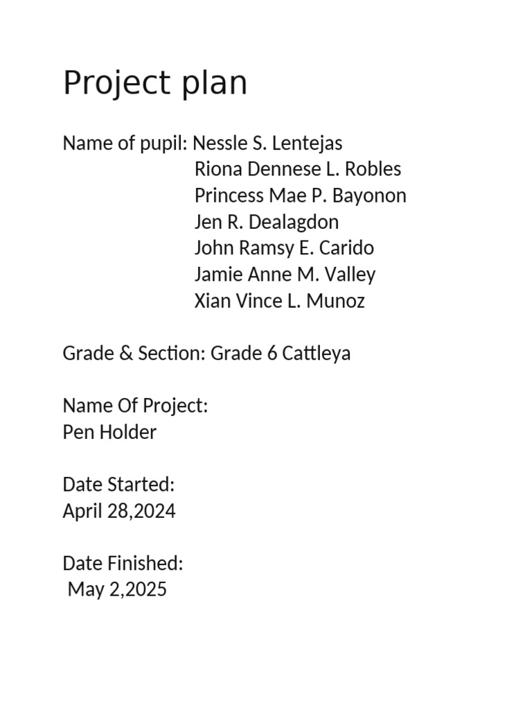 Grade 6 Pen Holder Project Plan | PDF