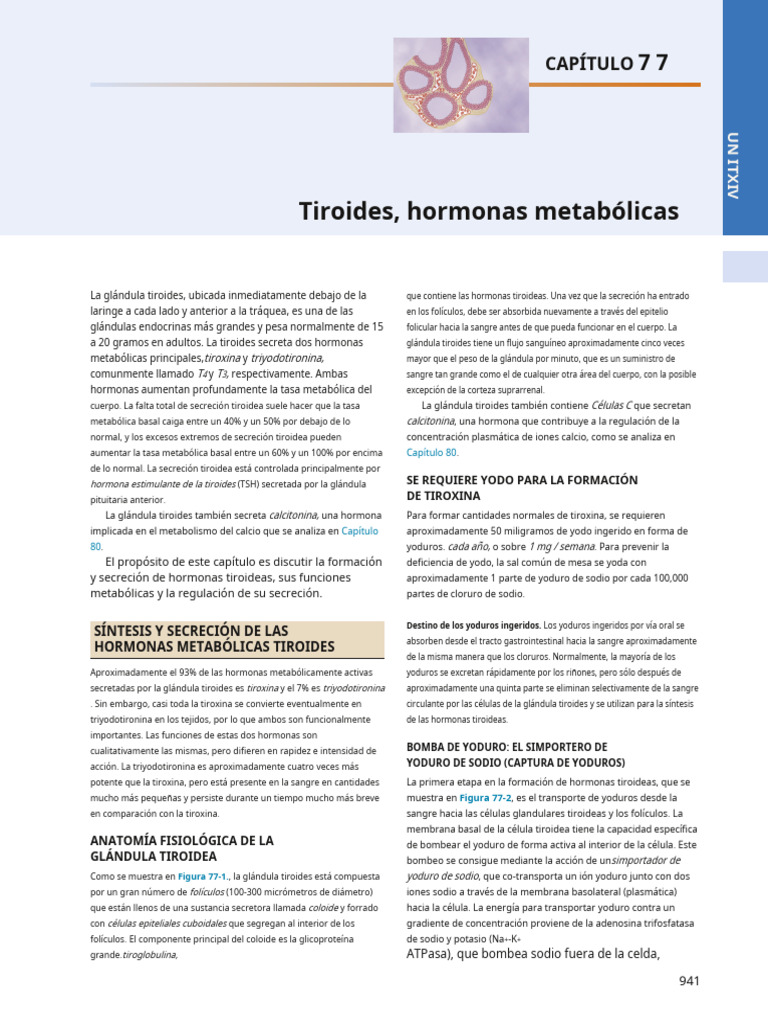 Capítulo 3 - Tiroides Guyton | PDF