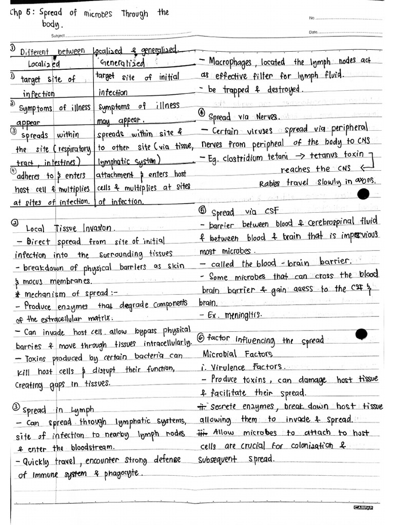 Test 2 POD | PDF
