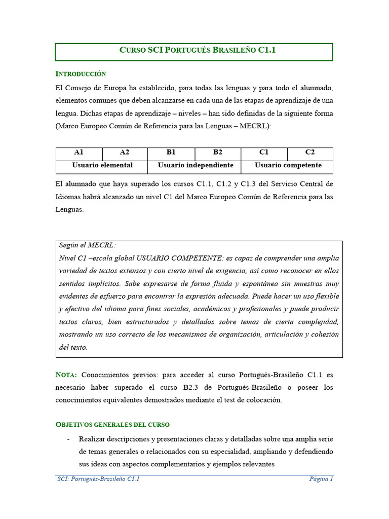 Docencia Programacion Portugues Brasileno c1 1 | PDF | Verbo | Palabra