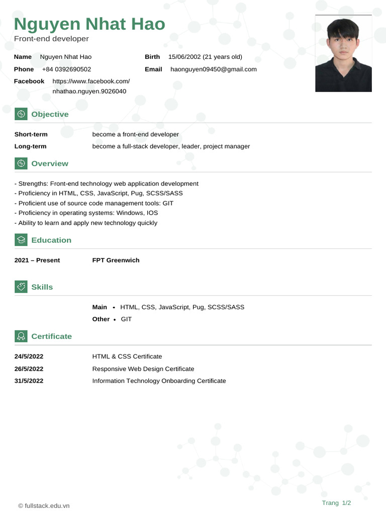 Nguyen Nhat Hao - Front-End Developer Profile | PDF