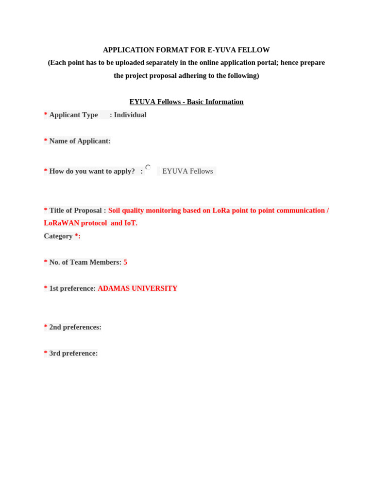 Application Format For E-YUVA Fellow Group 1 | PDF | Internet | Computing
