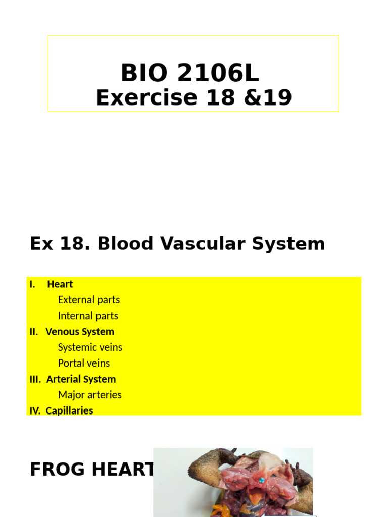 BIO 2106L - Ex 18 and 19 Postlab | PDF