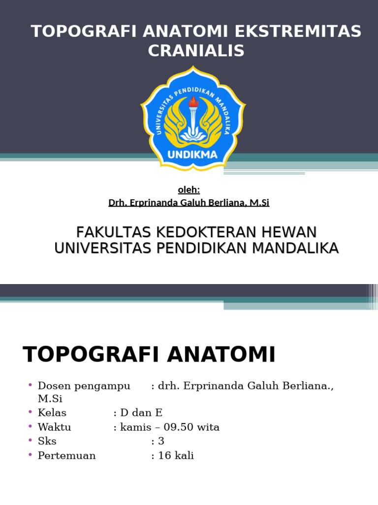 Topografi Anatomi Ekstremitas Cranialis | PDF