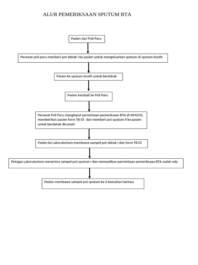 Alur Pemeriksaan Sputum Bta | PDF