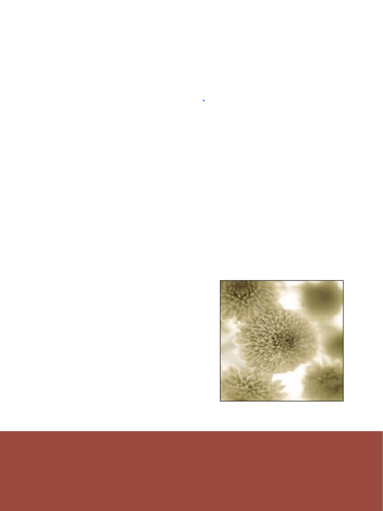 Presentation 2 | PDF