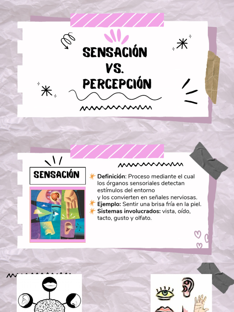Sensación y Persepción | PDF | Percepción | Sentidos