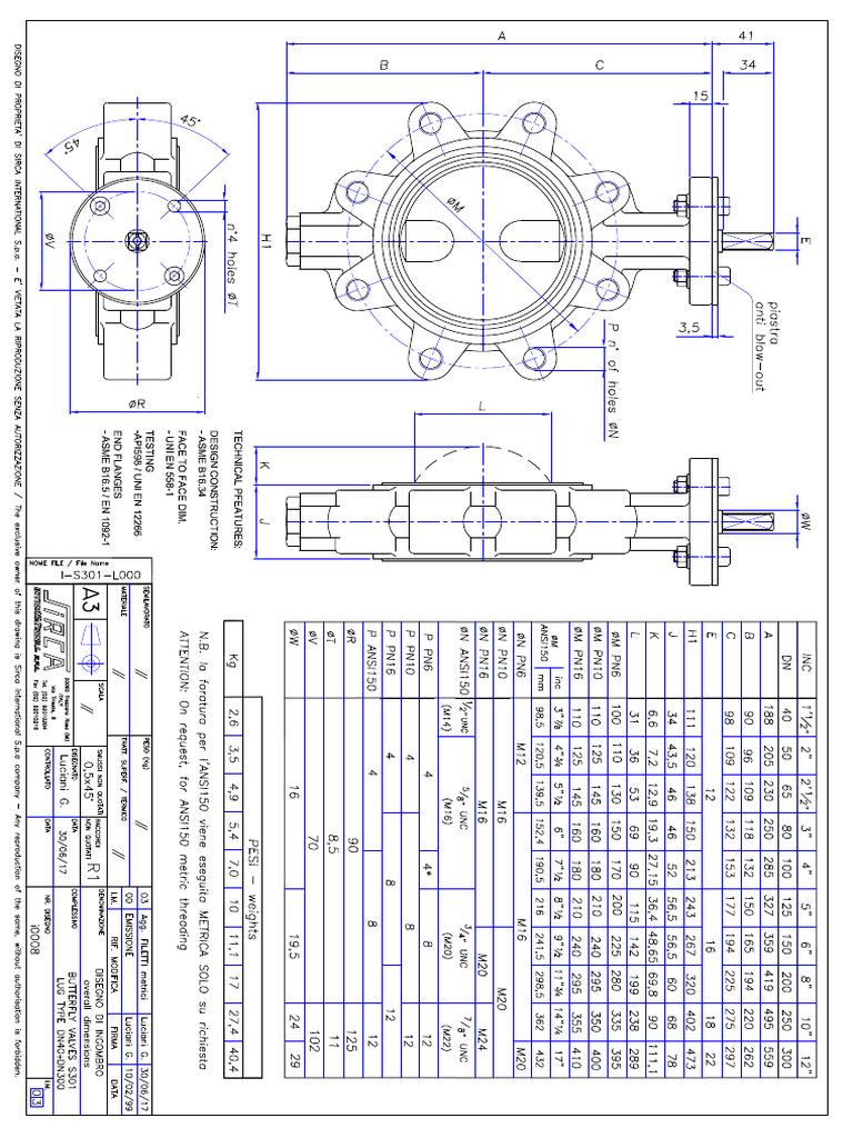 Dimensional Drawing s301 Lug Dn 40 300 | PDF