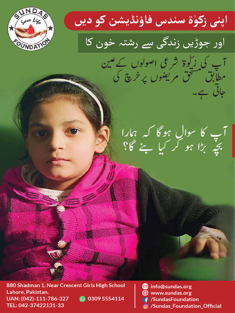 Sundas Foundation Brochure | PDF