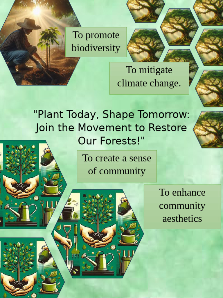 ADVOCACY Example | PDF
