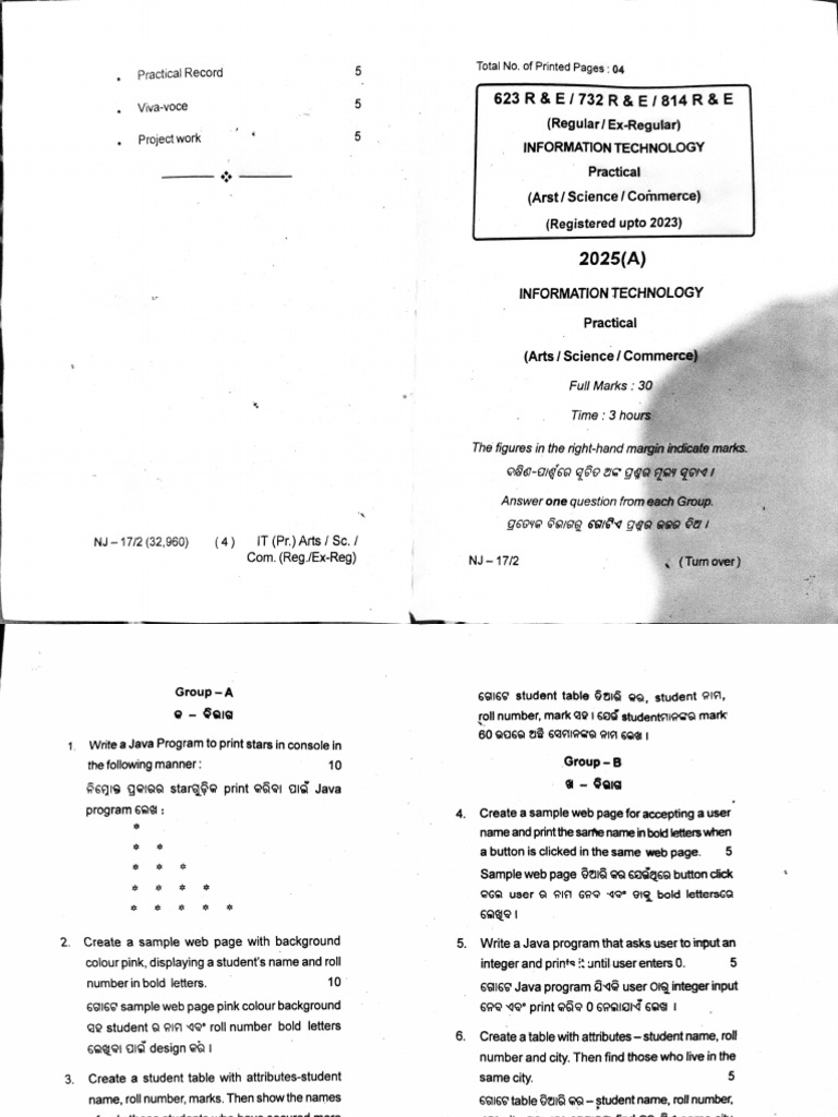 IT Practical Project Guidelines 2025 | PDF