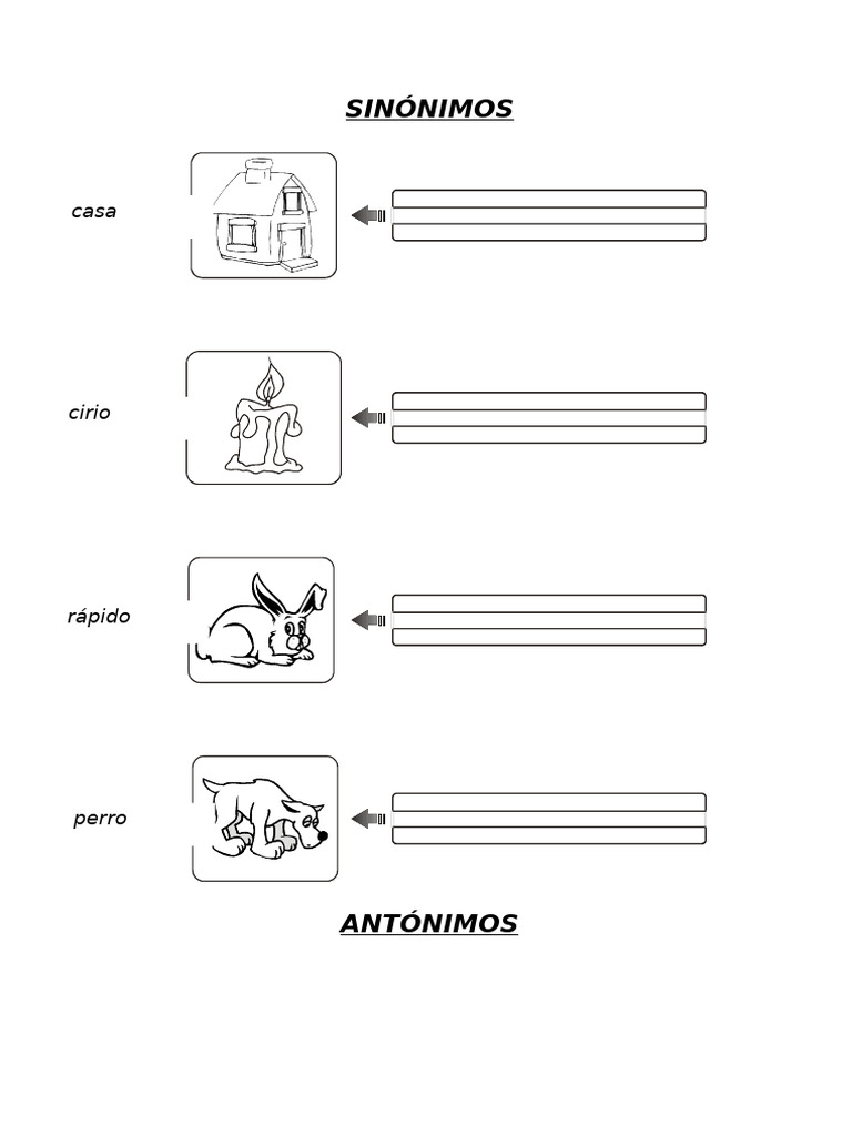 Sinónimos y Antónimos para Tercer Grado | PDF