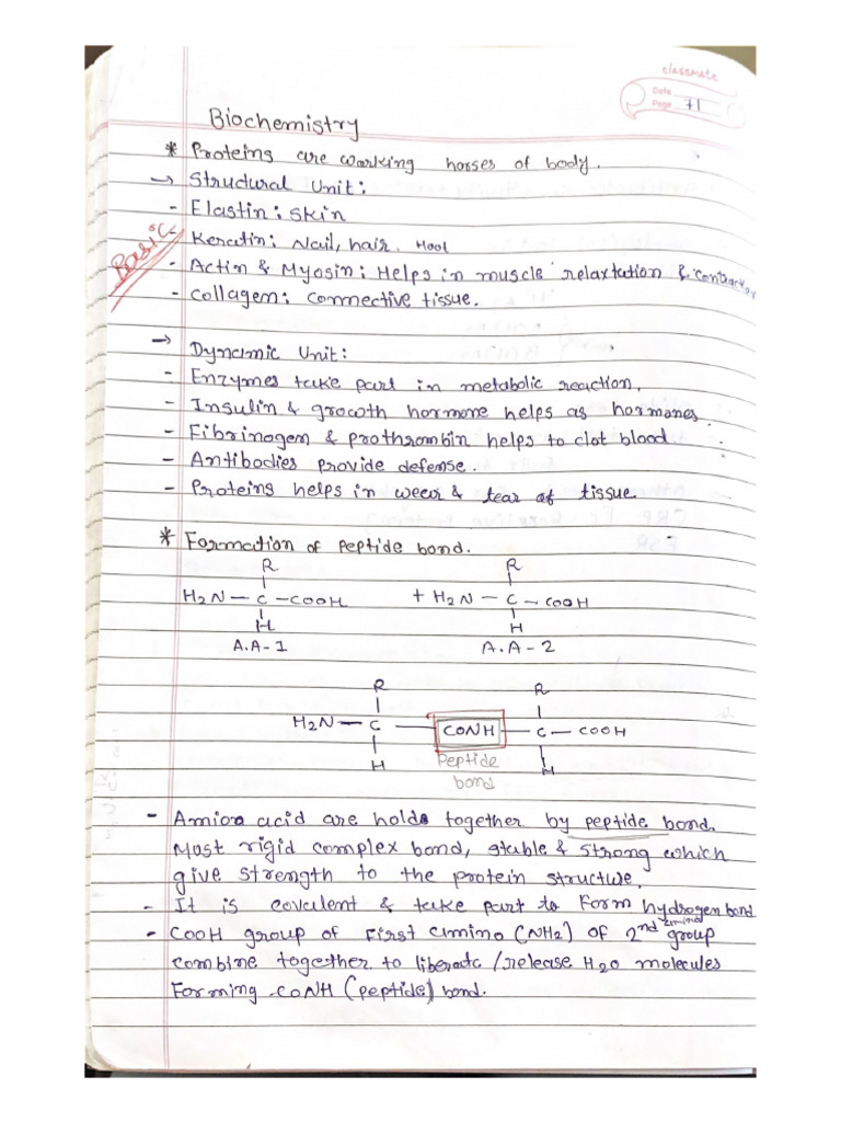 Biochemistry | PDF