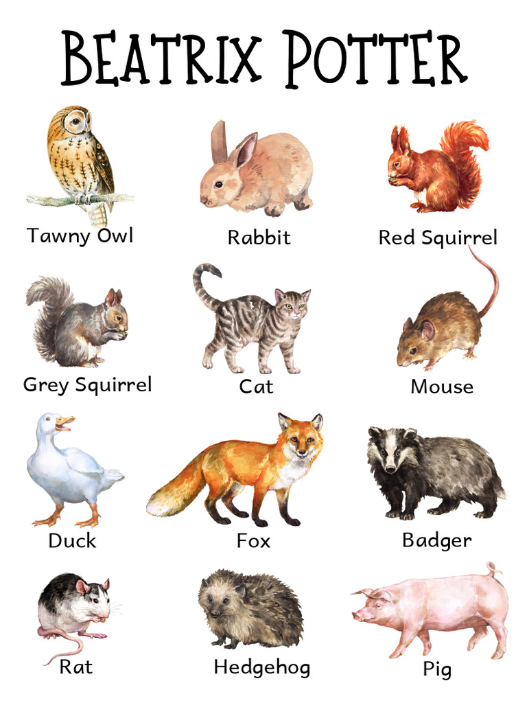 Beatrix potter Poster with Match Up | PDF